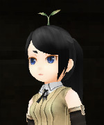 Item Database - Toram Online | Coryn Club